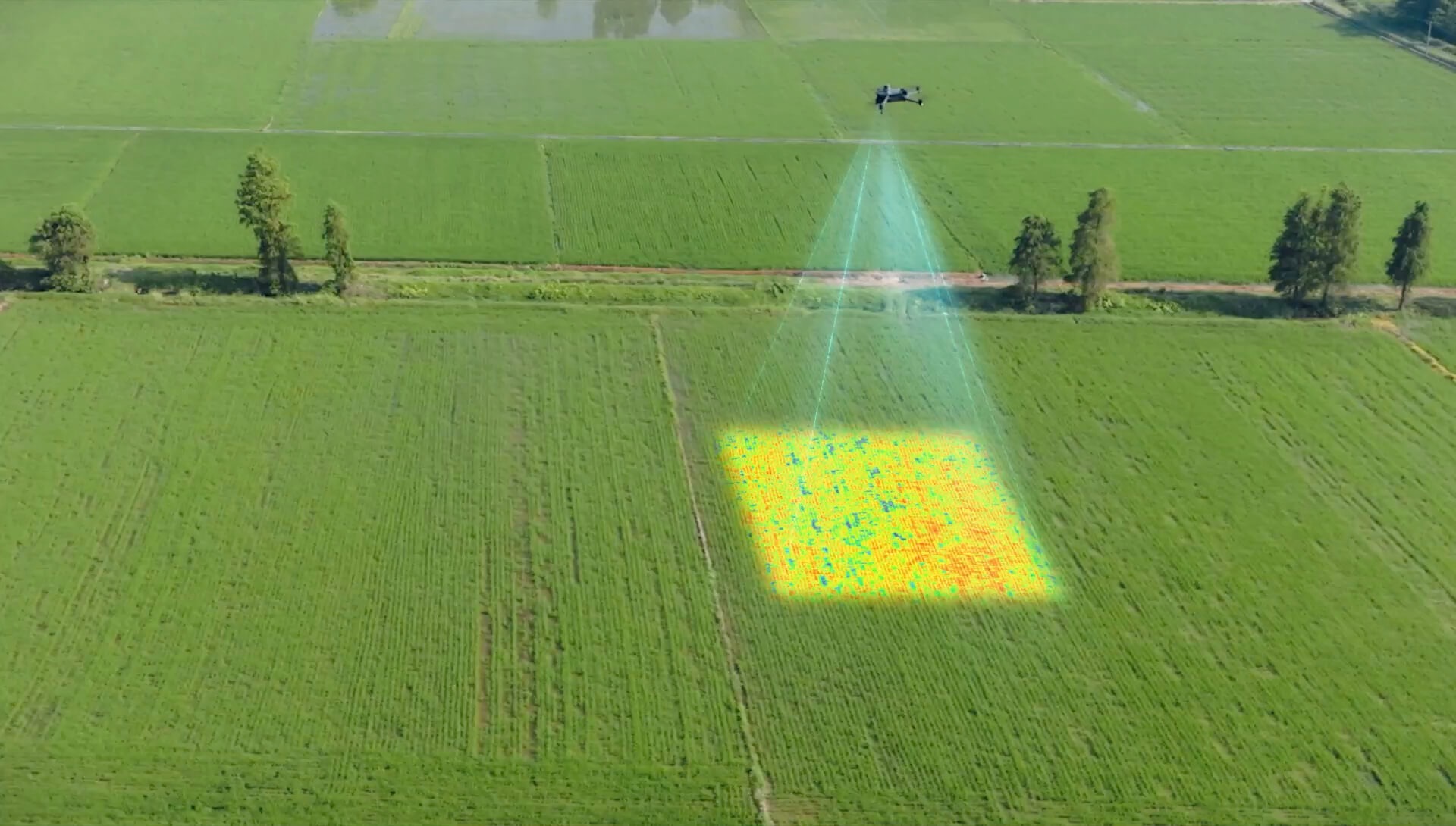 Crop Health Analysis with Drones – T-Hathaway Aerial Photograpy